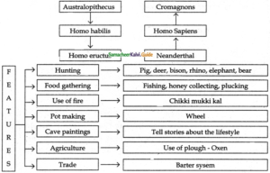 Samacheer Kalvi 6th Social Science Guide History Term 1 Chapter 2 Human ...