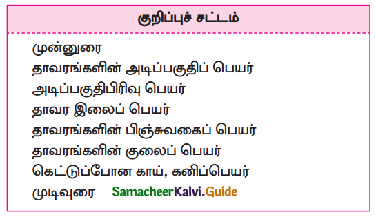 Samacheer Kalvi 10th Tamil Guide Chapter 1.2 தமிழ்சொல் வளம் – Samacheer ...