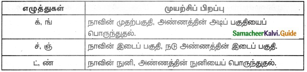 Samacheer Kalvi 8th Tamil Guide Chapter 1.5 ஏழுத்துகளின் பிறப்பு ...
