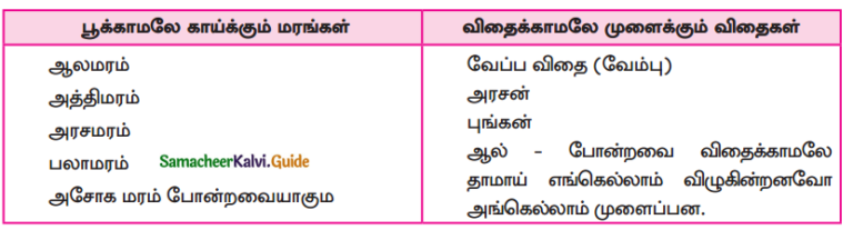Samacheer Kalvi 9th Tamil Guide Chapter 5.3 சிறுபஞ்சமூலம் – Samacheer Kalvi