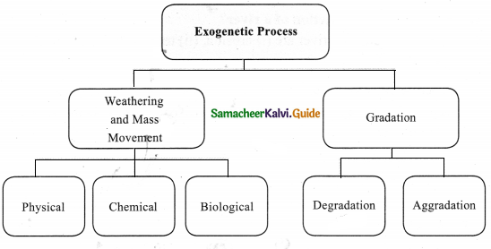Samacheer Kalvi 9th Social Science Guide Geography Chapter 2 ...