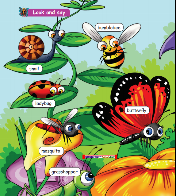 Samacheer Kalvi 3rd Standard English Guide Term 1 Chapter 2 The Insects